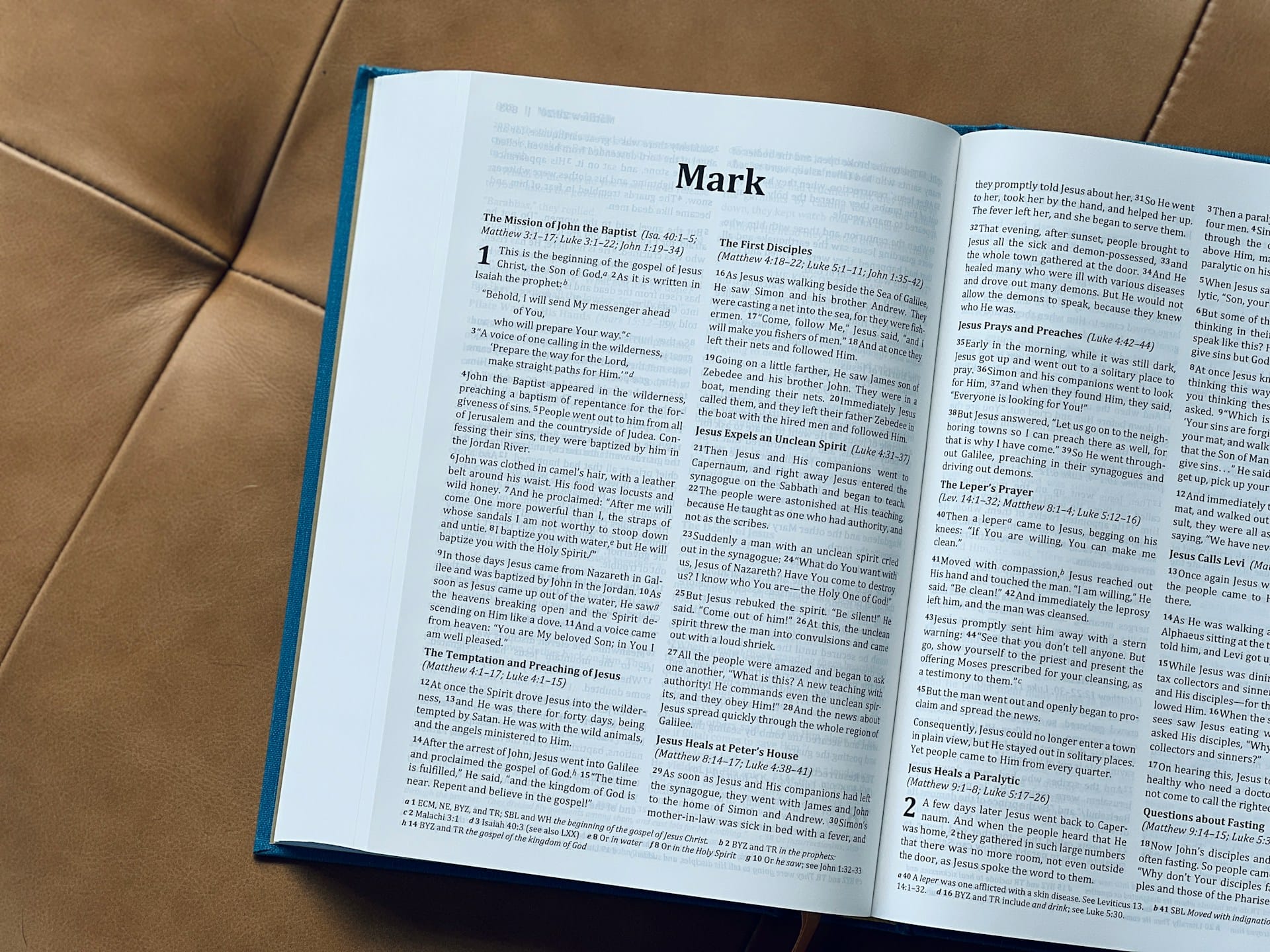 Daily Devotion: The Shepherd's Care