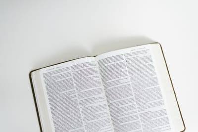 Daily Devotion: The Power of the Wise Tongue
